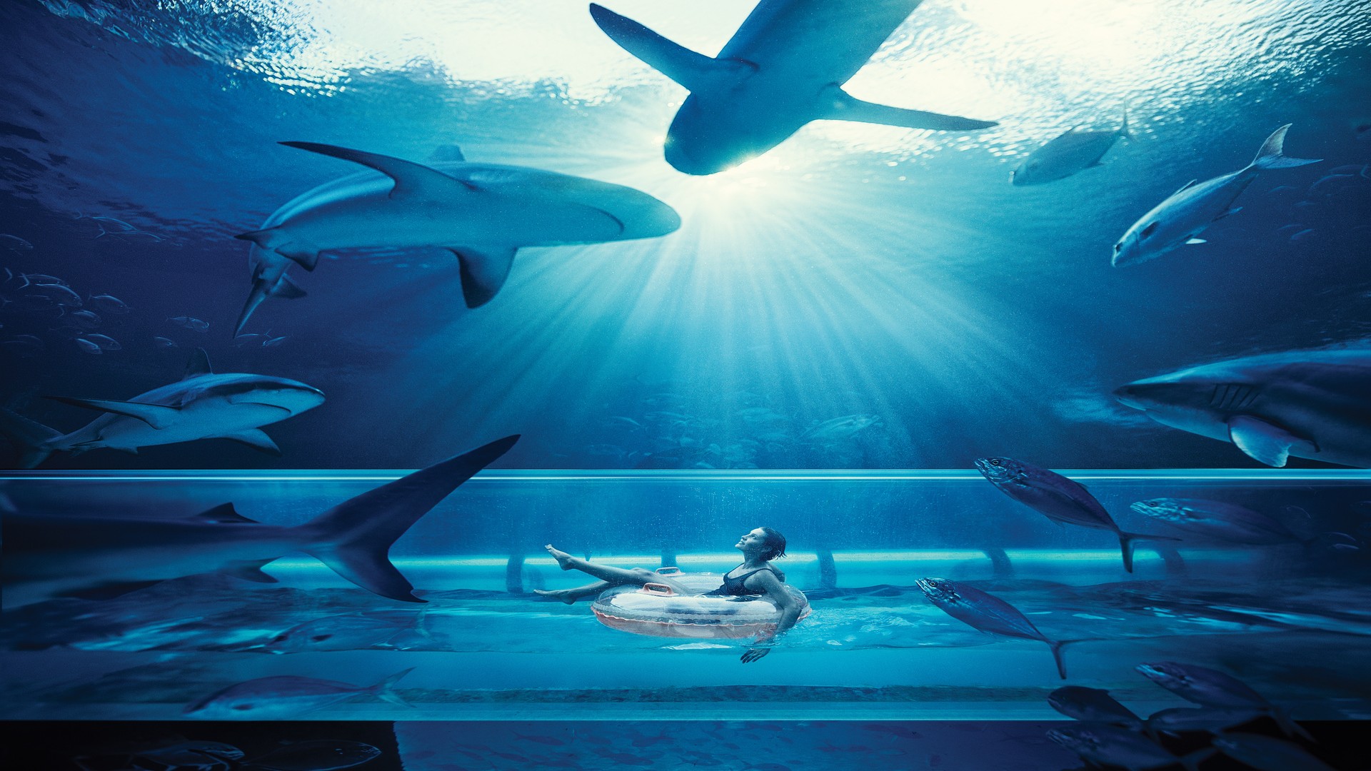 Atlantis Paradise Island | Bahamas Atlantis Resorts