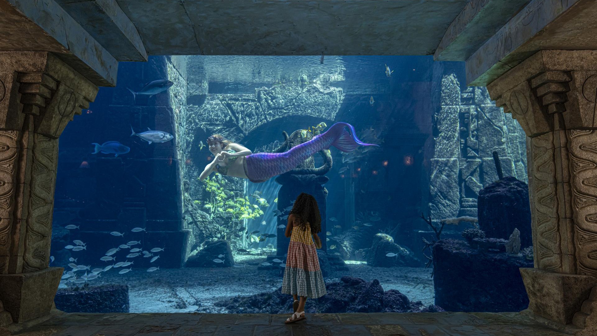 Atlantis Paradise Island | Bahamas Atlantis Resorts