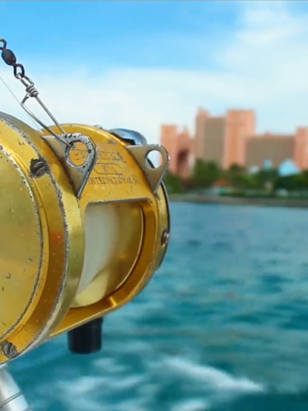 Regatta Buffet | Nassau Paradise Island