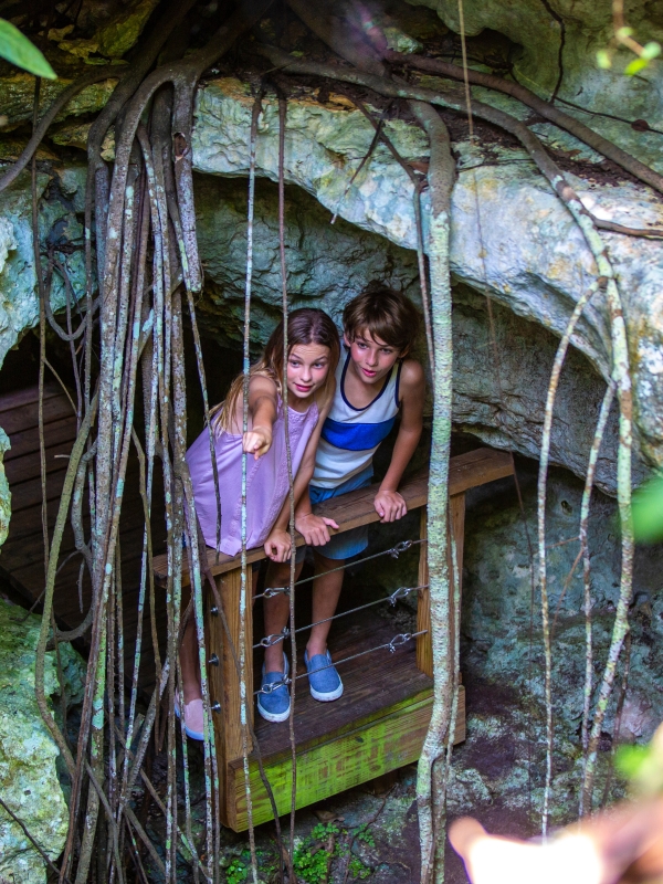 Primeval Forest | Nassau Paradise Island