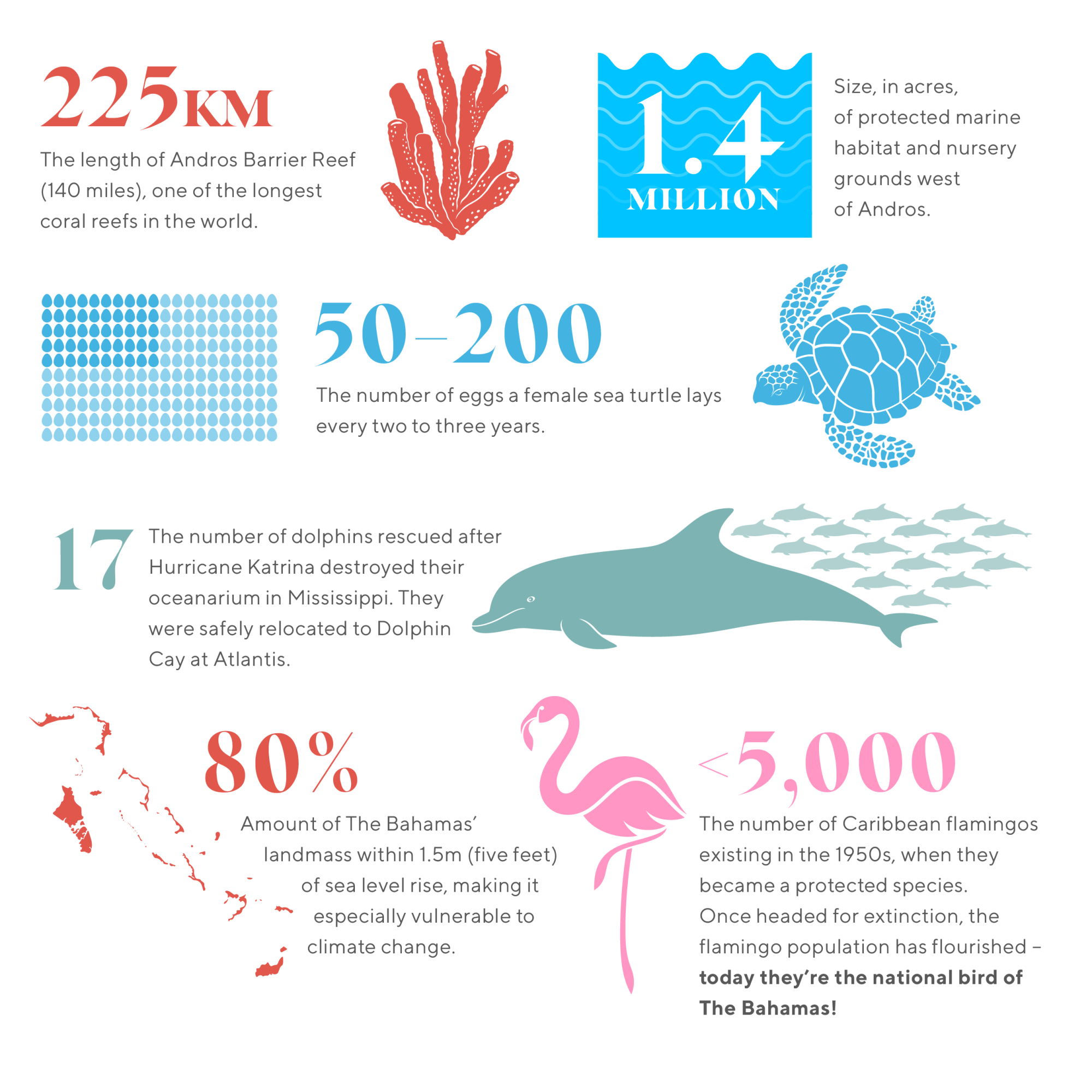Conservation & Sustainability Programs | Nassau Paradise Island